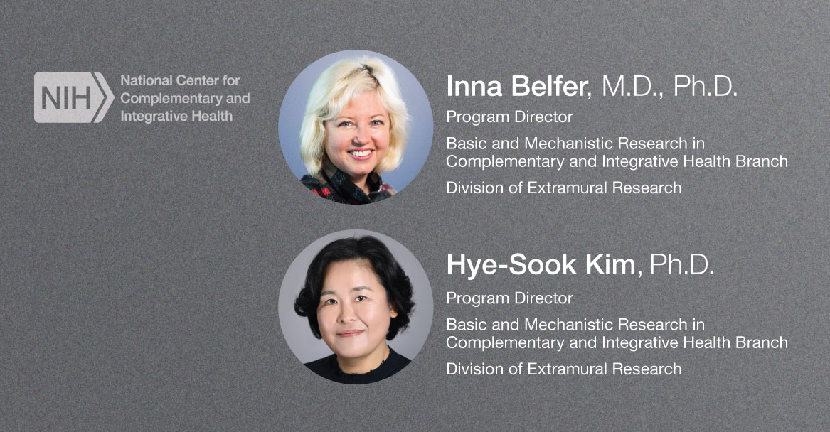 NCCIH-Supported Research Advances Understanding of How the Brain Clears ...