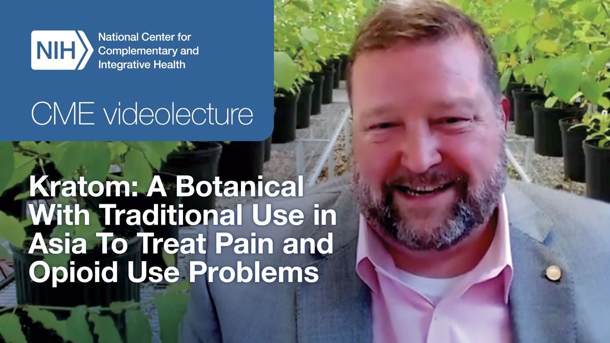 Kratom: A Botanical With Traditional Use in Asia To Treat Pain and ...